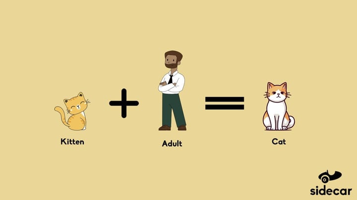 Demystifying Vectors and Embeddings in AI: A Beginner's Guide