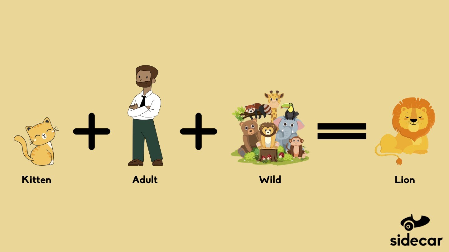 Demystifying Vectors and Embeddings in AI: A Beginner's Guide